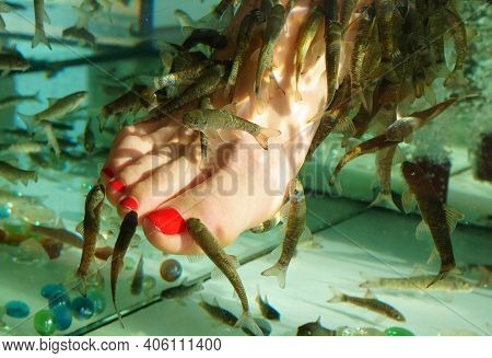 Peeling Fish. Girl Image & Photo (Free Trial) | Bigstock