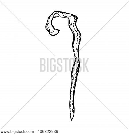 Wizards Wooden Staff Vector & Photo (Free Trial) | Bigstock