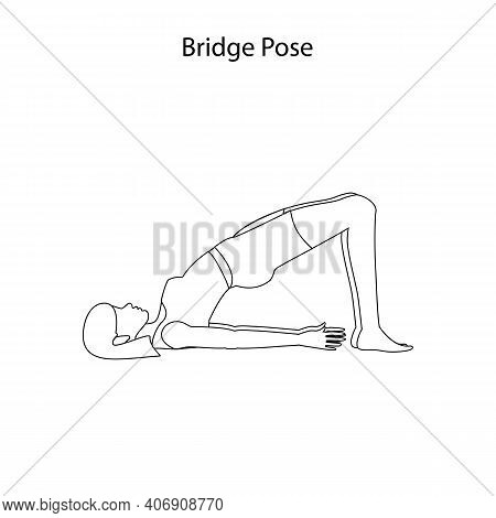 Bridge Pose Yoga Vector & Photo (Free Trial) | Bigstock