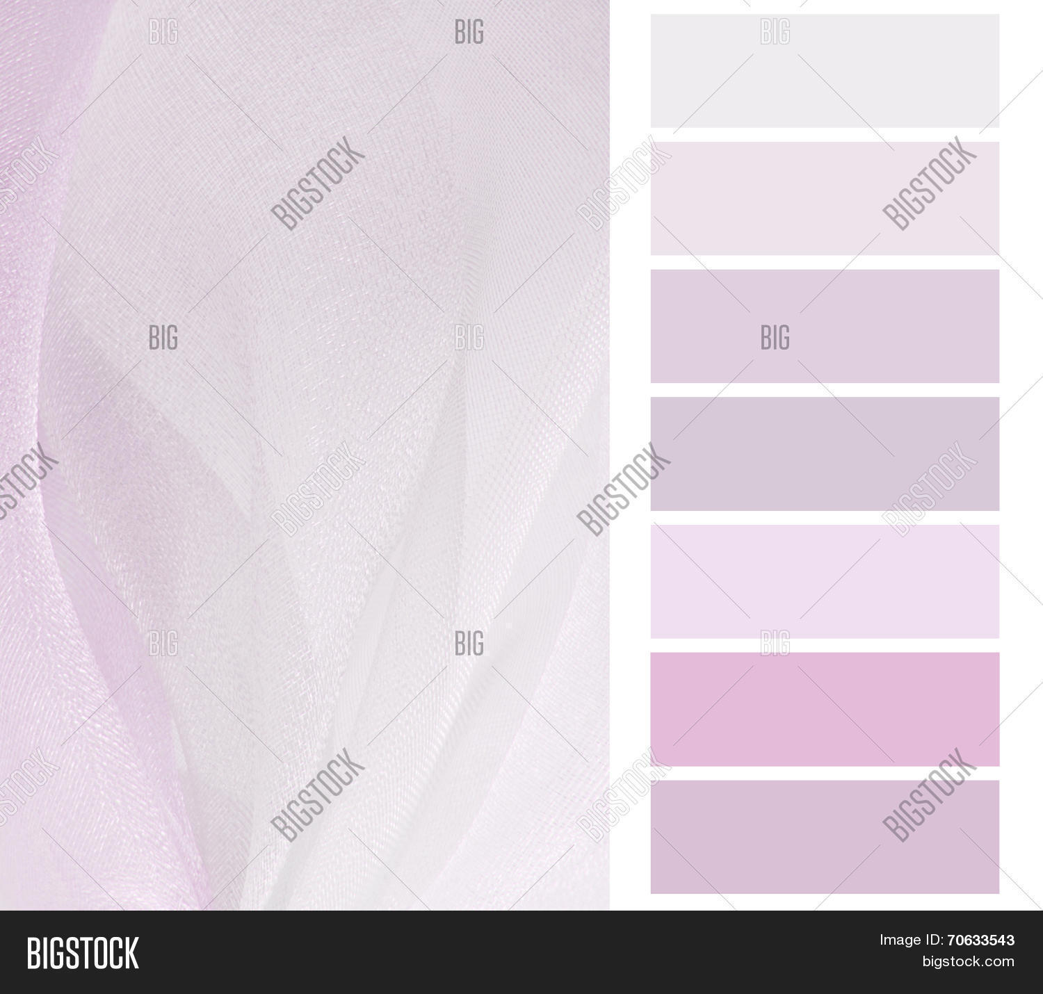 Color Chart Selection Image & Photo (Free Trial) | Bigstock