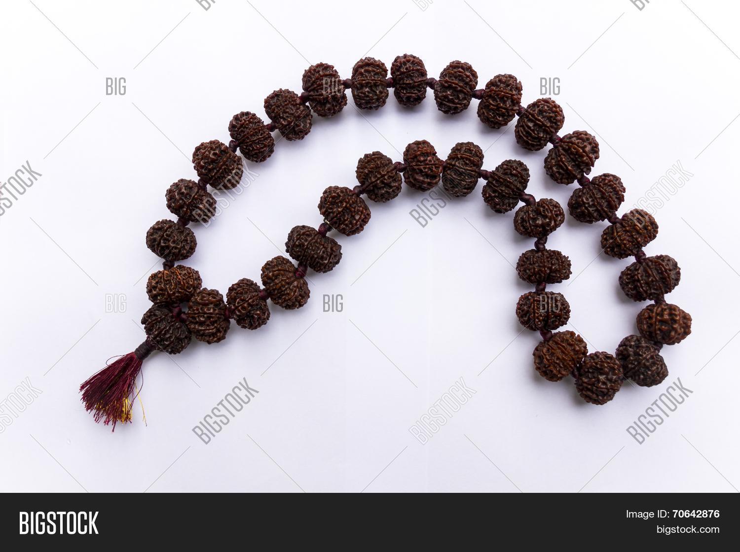 Rudraksha (tears Lord Image & Photo (Free Trial) | Bigstock