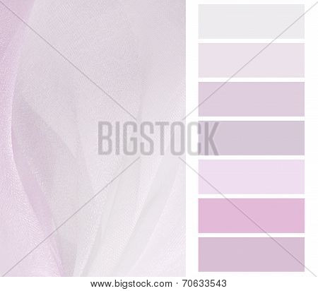 Color Chart Selection Image & Photo (Free Trial) | Bigstock