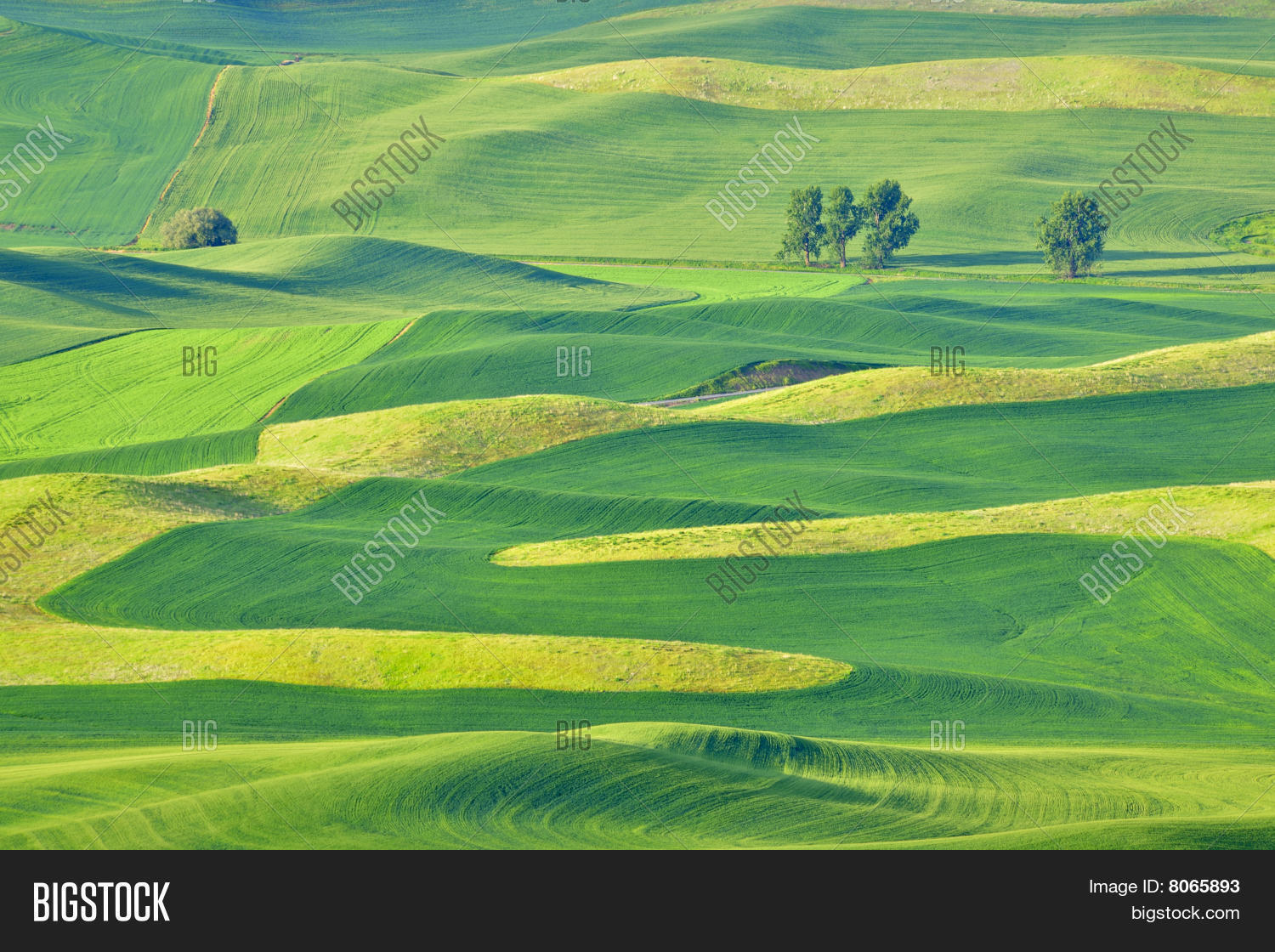 Beautiful Rolling Image & Photo (Free Trial) | Bigstock