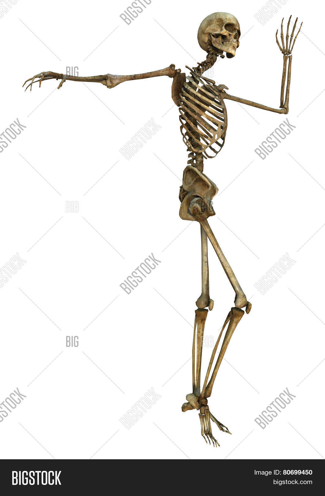 Dancing Skeleton Image & Photo (Free Trial) | Bigstock