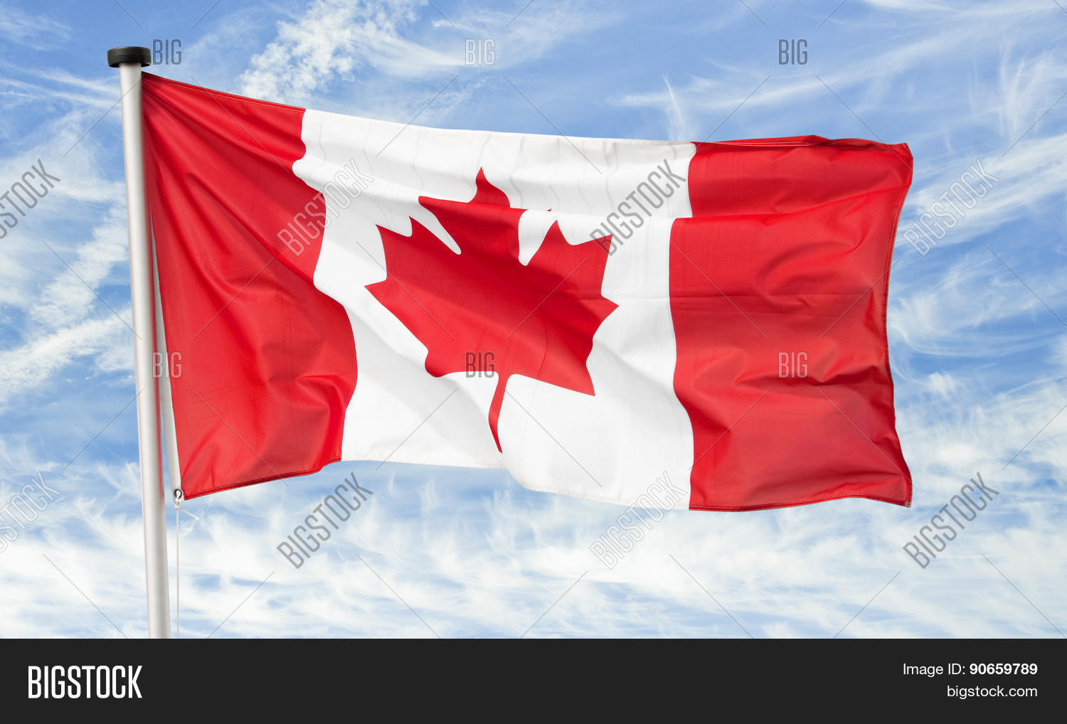 Canadian Maple Leaf Image & Photo (Free Trial) | Bigstock