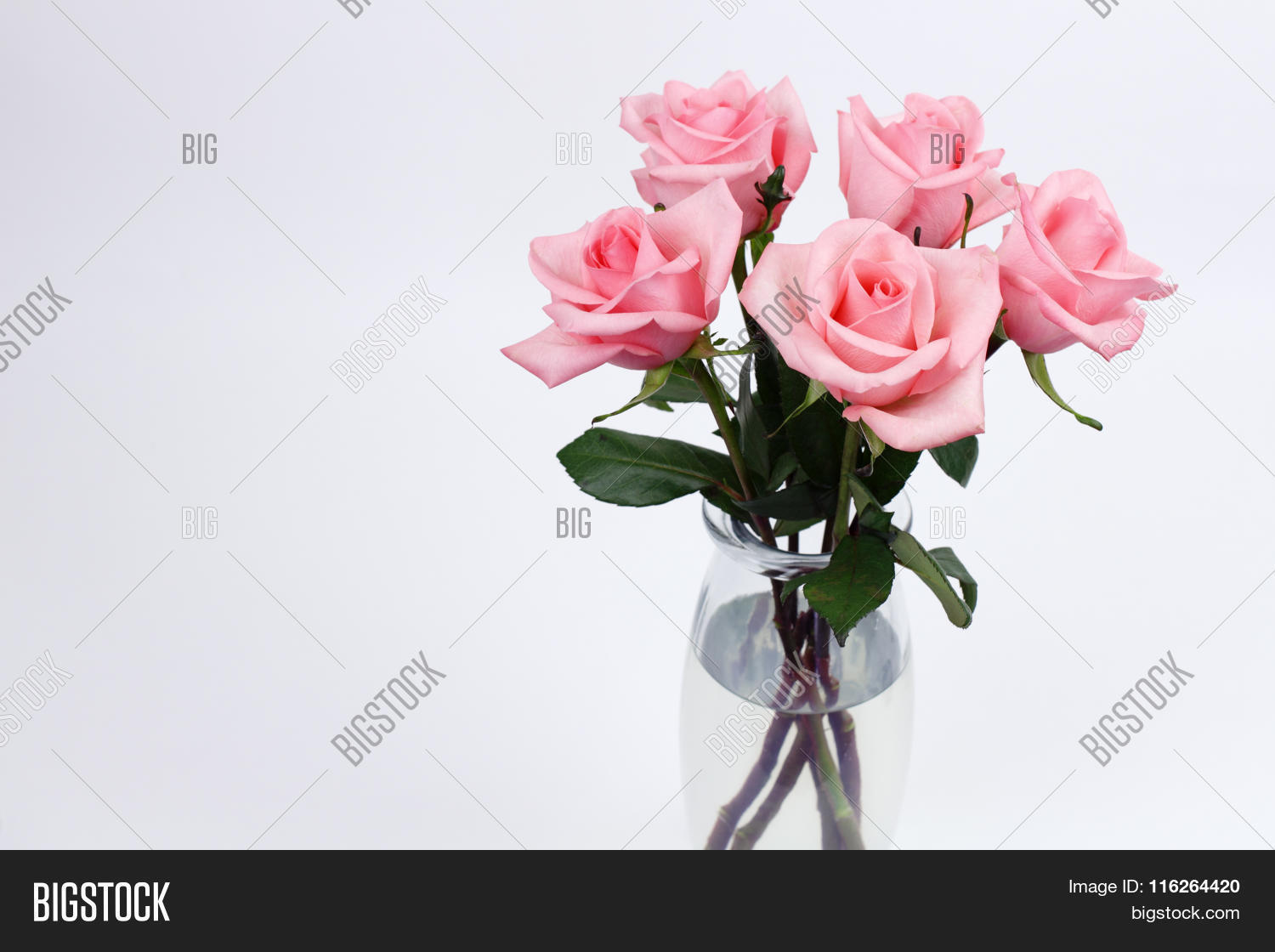 Glass Vase Pink Roses Image & Photo (Free Trial) | Bigstock