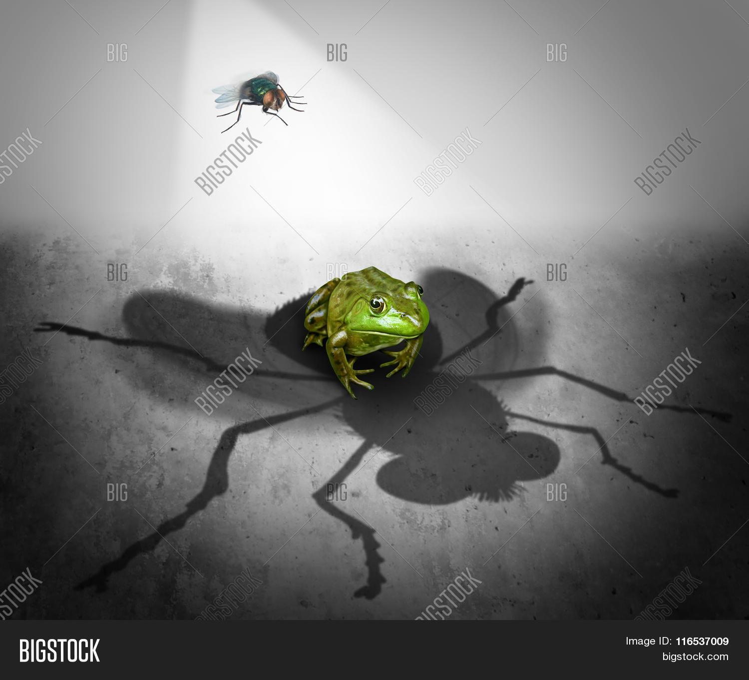 Stock Illustration Of Perception Vs Reality Fact Fiction