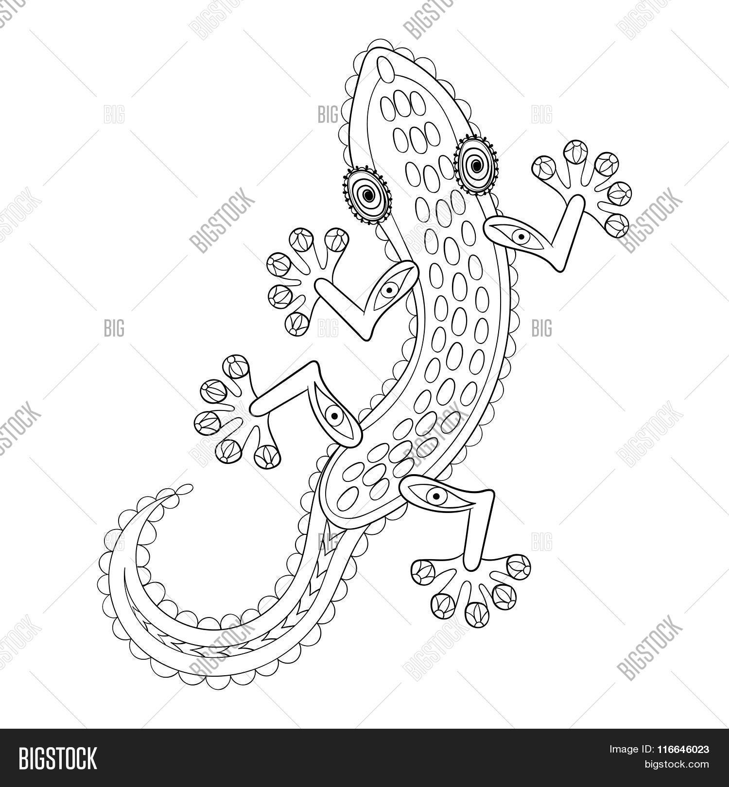 Zentangle Lizard Vector & Photo (Free Trial) | Bigstock