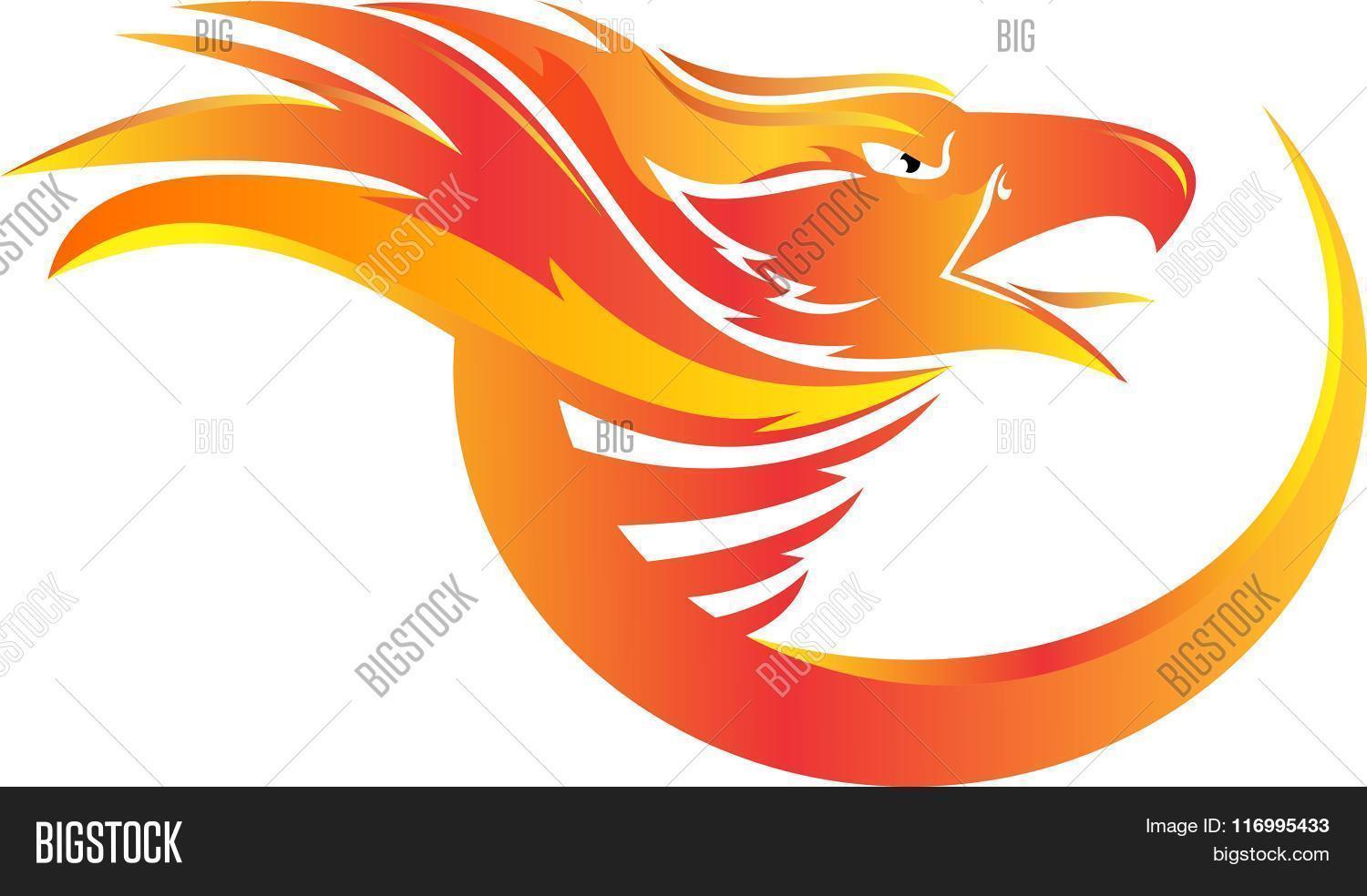Phoenix Head Vector