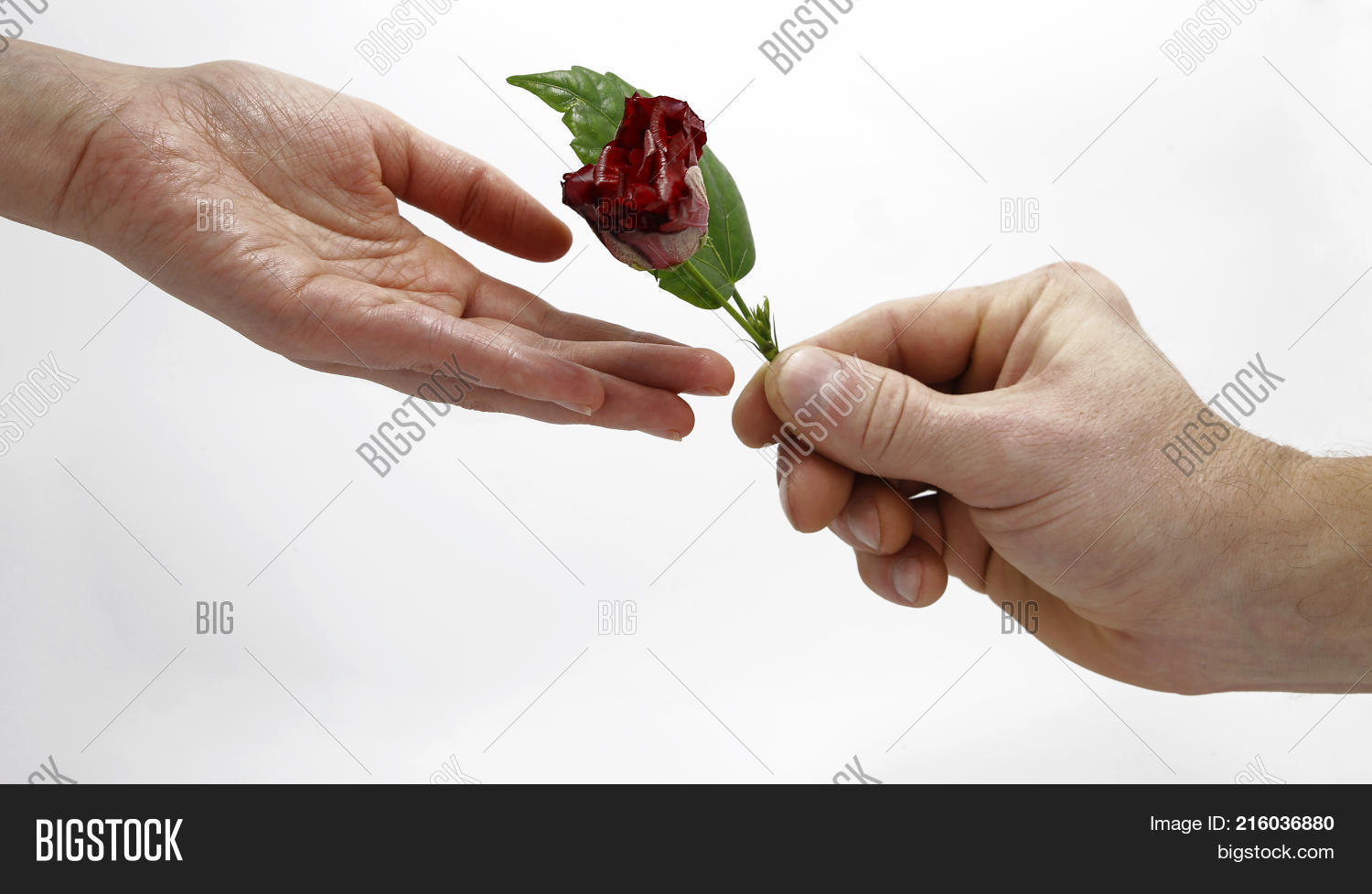 Hands Lovers Photo Image & Photo (Free Trial) | Bigstock