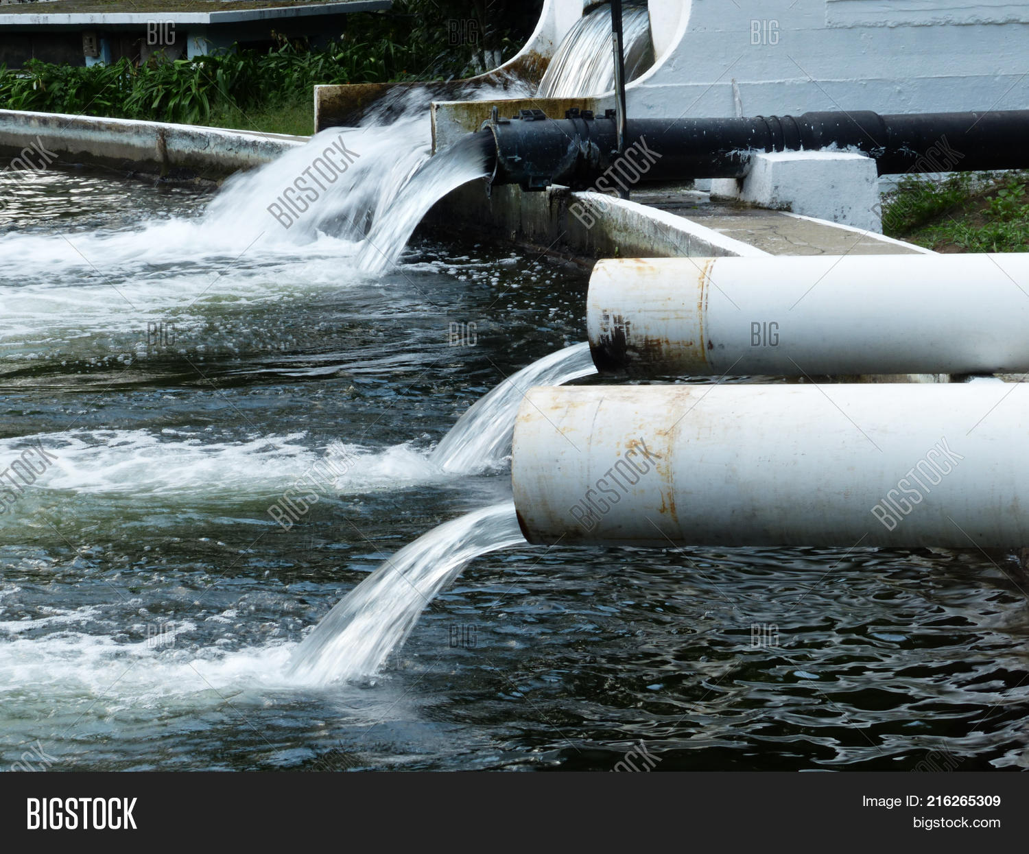 Four Sources Water Image & Photo (Free Trial) | Bigstock