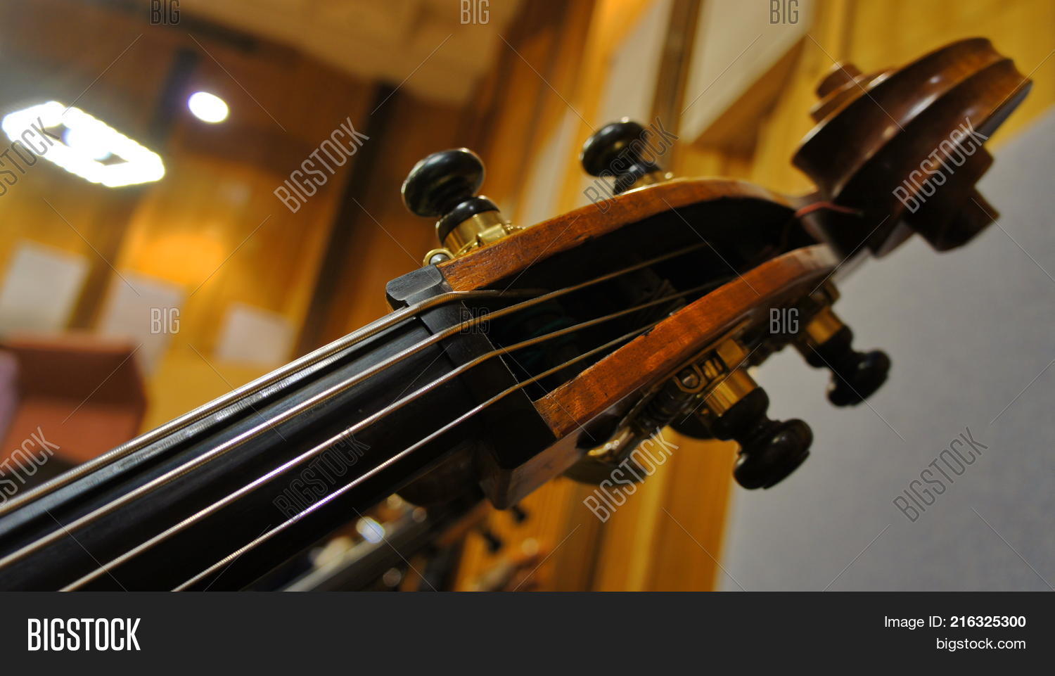 Neck Pegs Strings Peg Image & Photo (Free Trial) | Bigstock