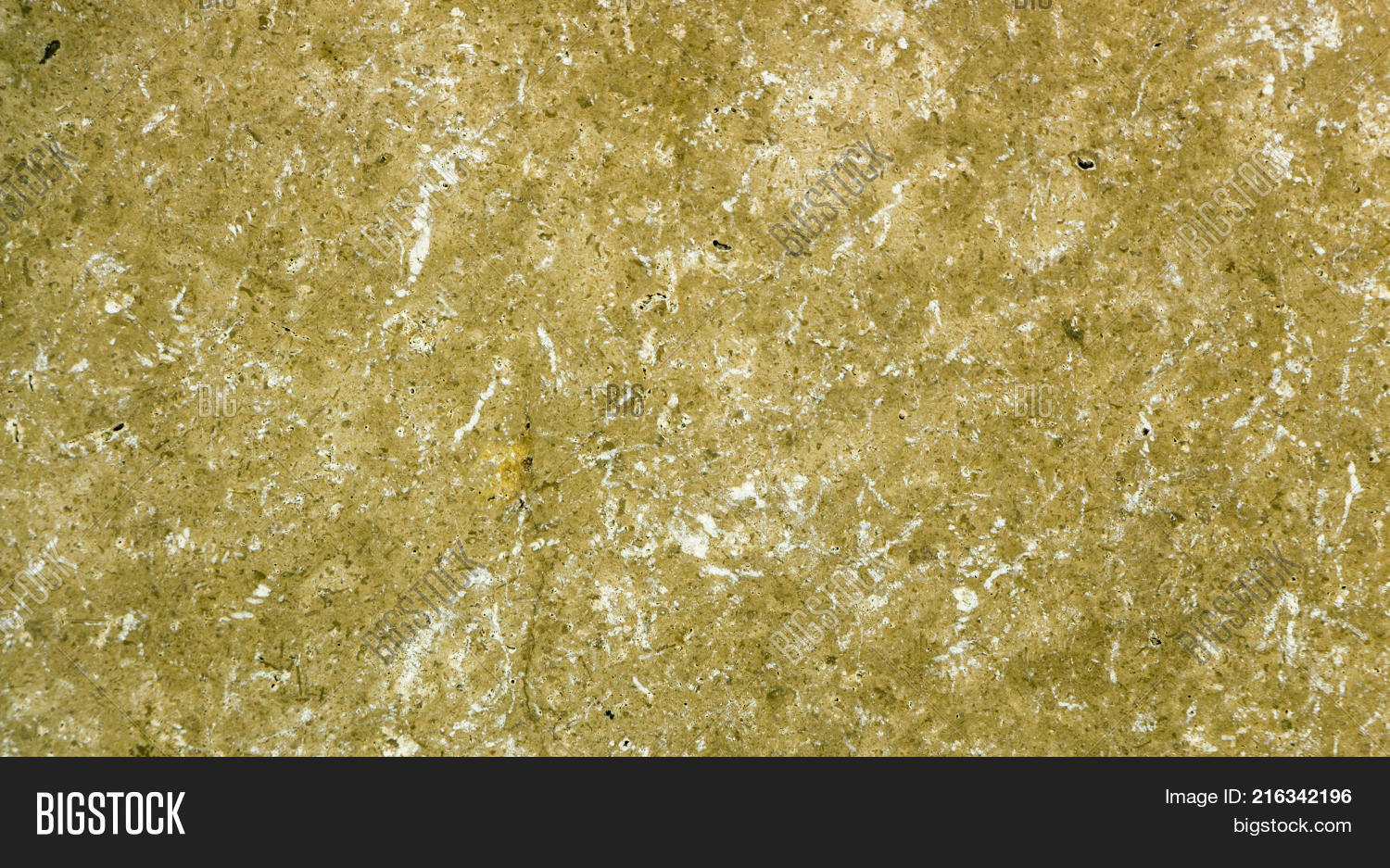 Perla Classic Image & Photo (Free Trial) | Bigstock