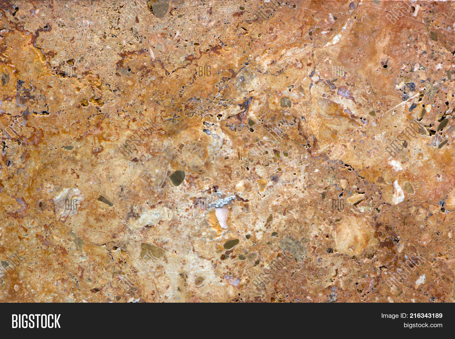 Perla Classic Image & Photo (Free Trial) | Bigstock