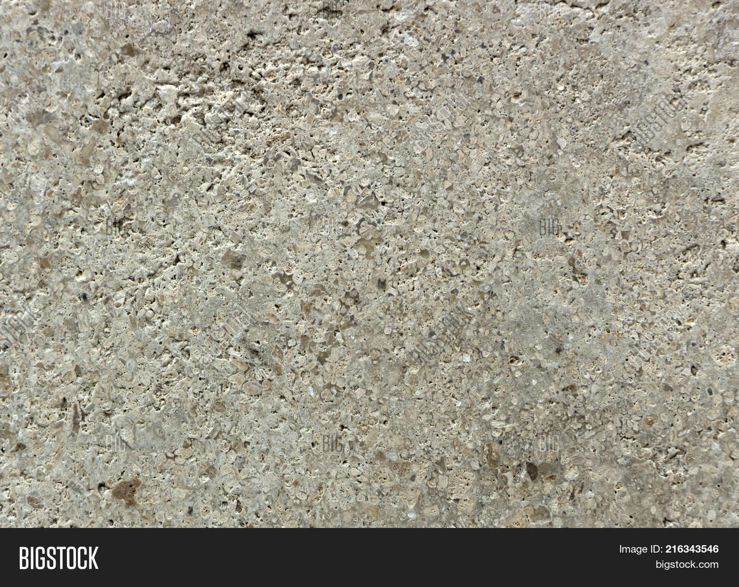 Perla Classic Image & Photo (Free Trial) | Bigstock