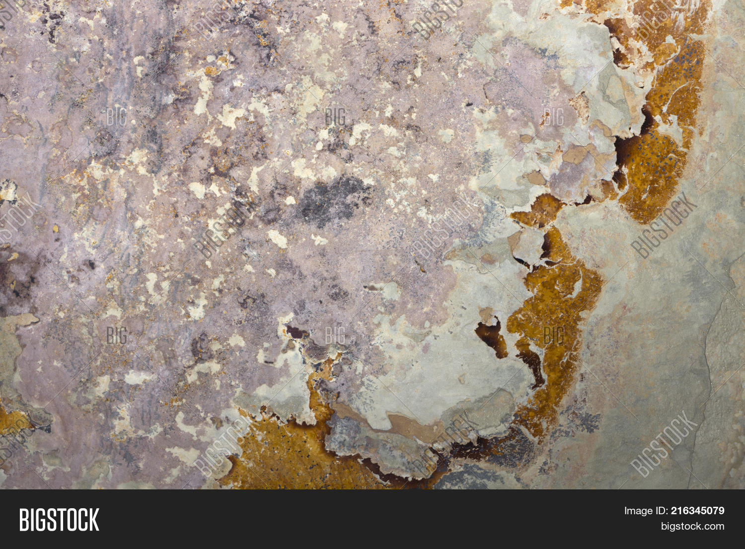 Perla Classic Image & Photo (Free Trial) | Bigstock