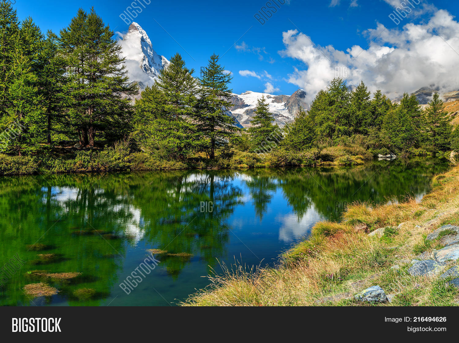 Green Alpine Oasis Image & Photo (Free Trial) | Bigstock