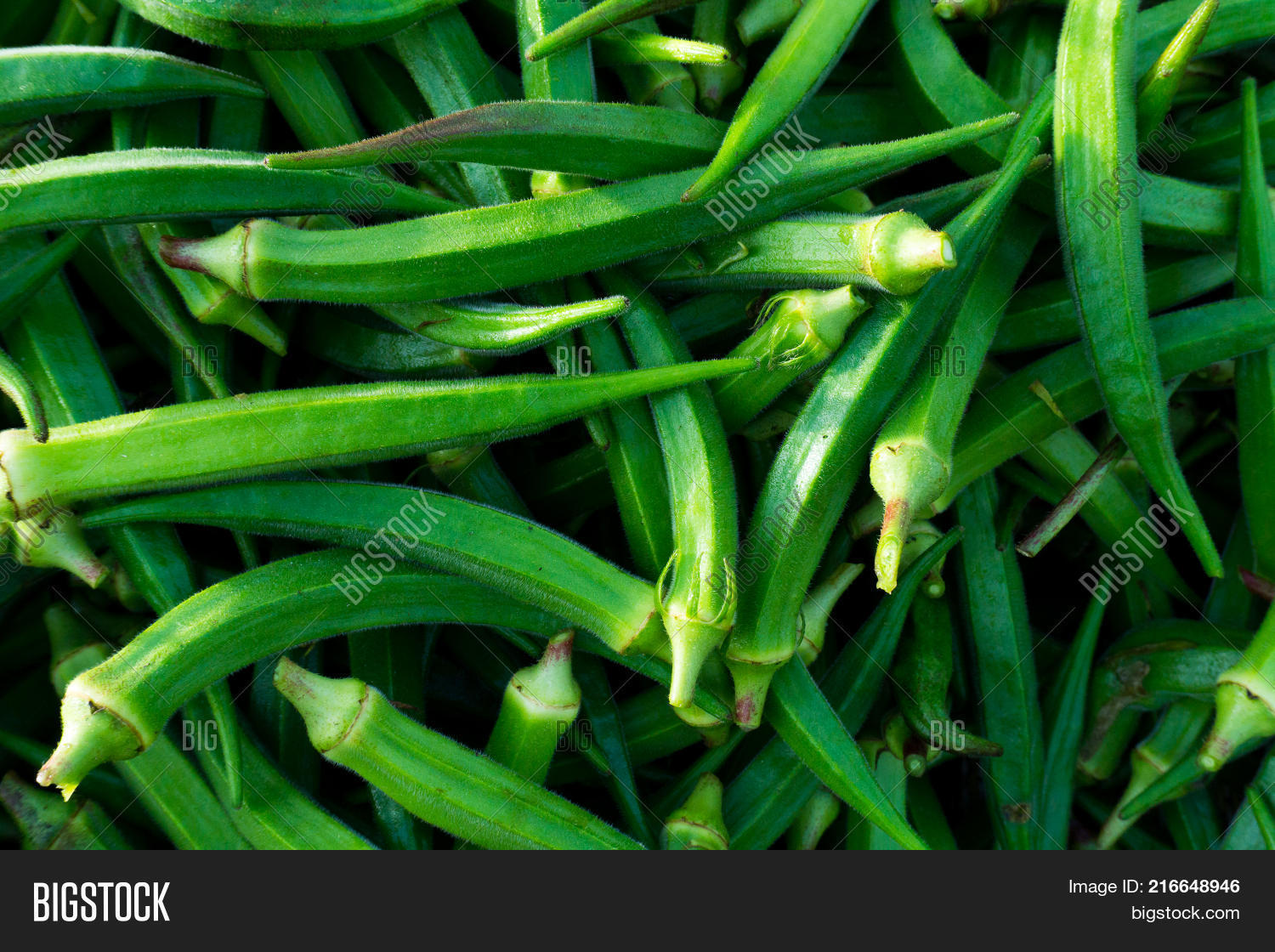 Okra Farmers Market. Image & Photo (Free Trial) | Bigstock