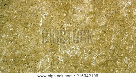 Perla Classic Image & Photo (Free Trial) | Bigstock