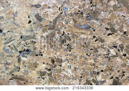 Perla Classic Image & Photo (Free Trial) | Bigstock