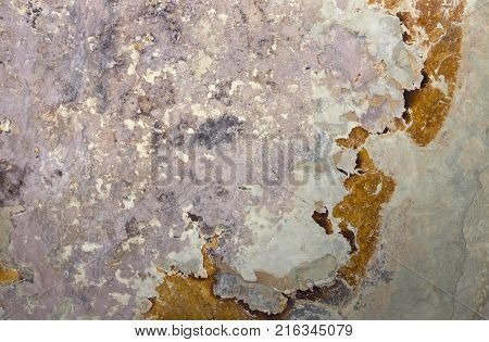 Perla Classic Image & Photo (Free Trial) | Bigstock