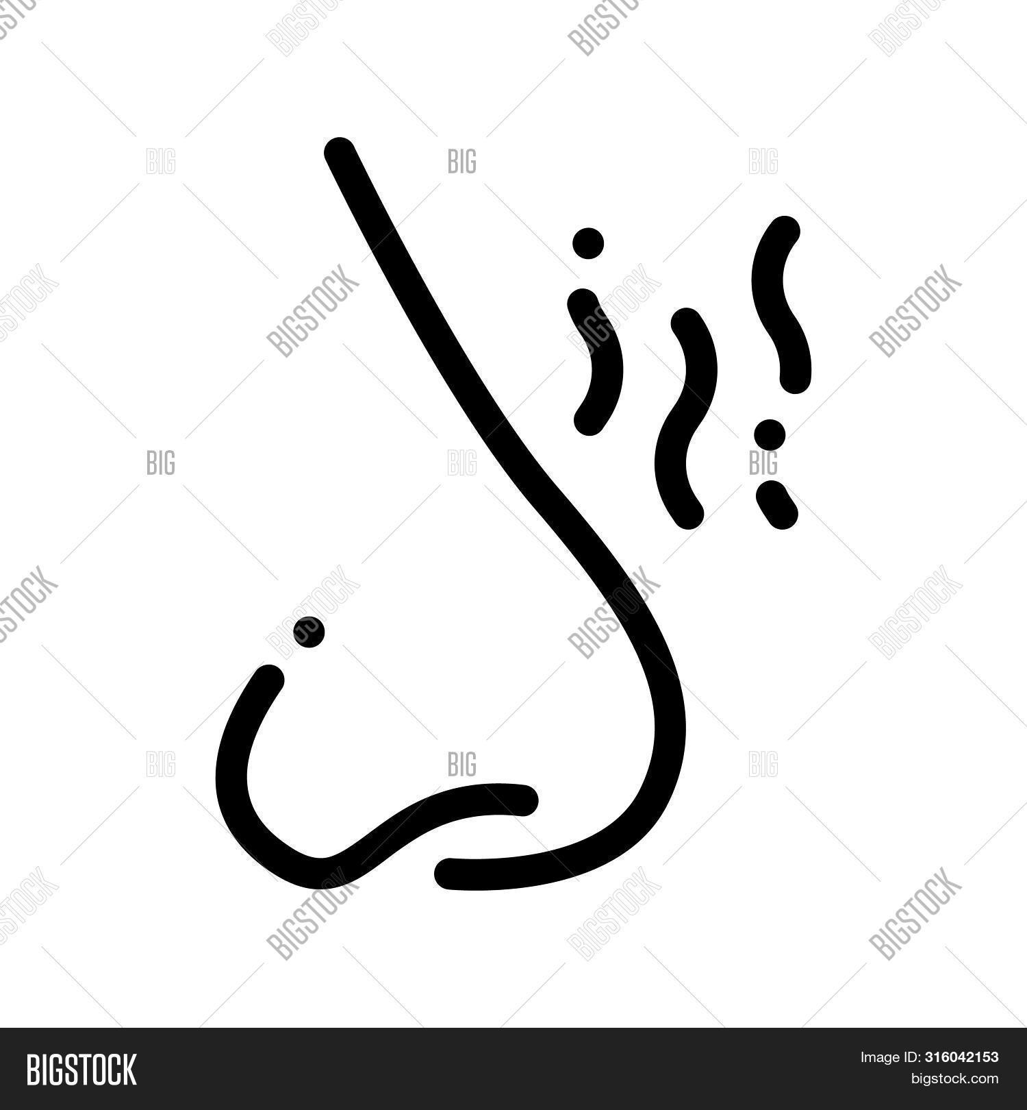 Increased Sense Smell Image & Photo (Free Trial) | Bigstock