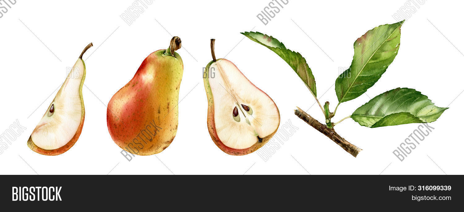 Pink Pear Fruits Half Image & Photo (Free Trial) | Bigstock