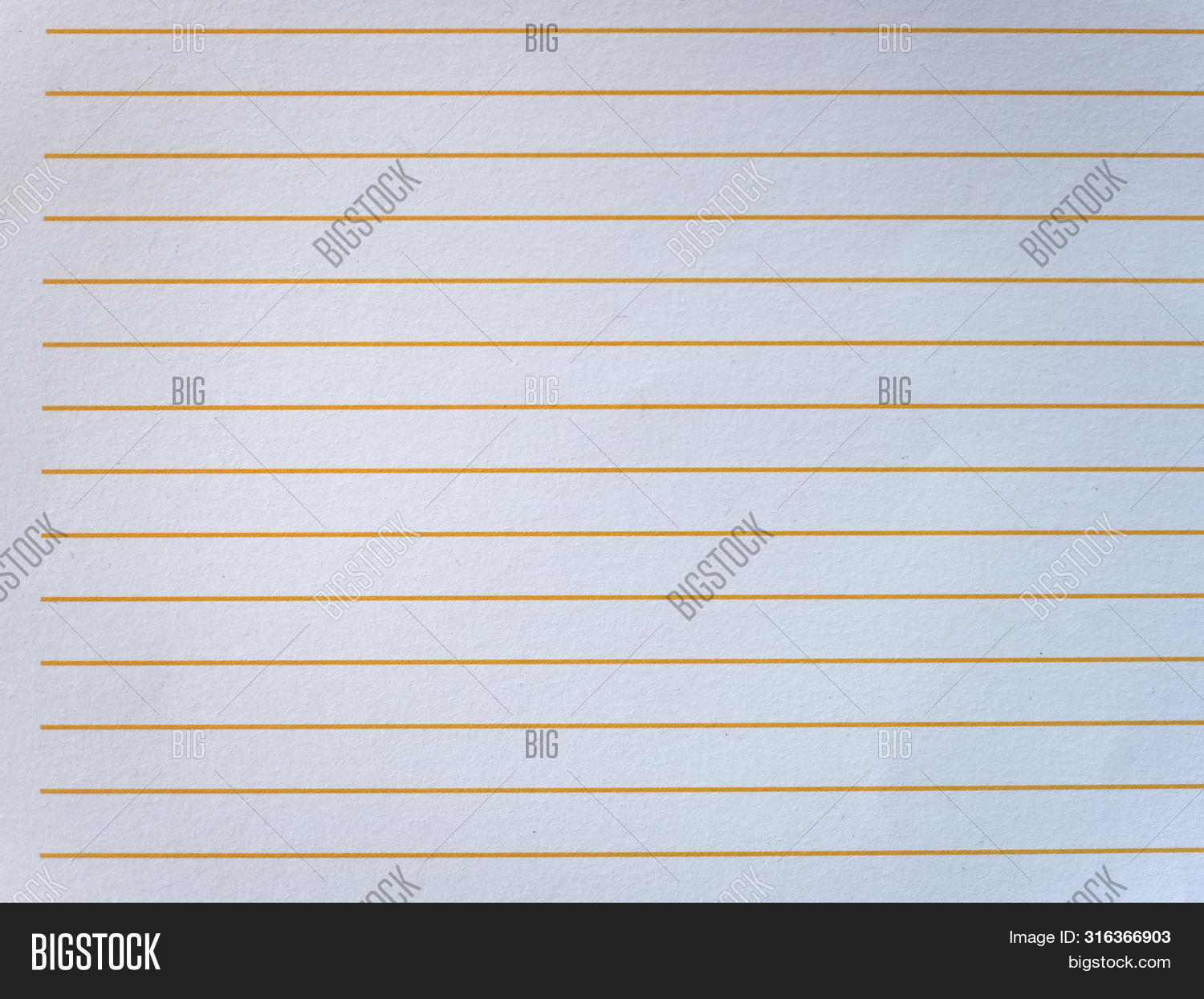 Blank White Lined Image & Photo (Free Trial) | Bigstock
