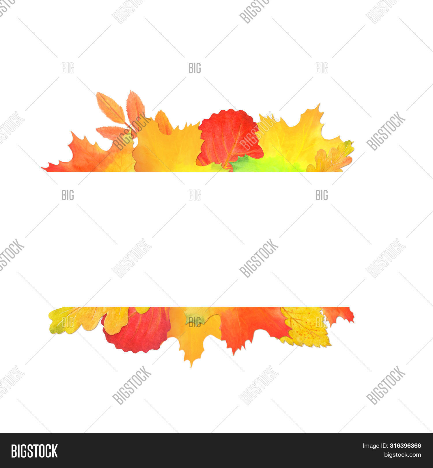 Colorful Bright Frame Image & Photo (Free Trial) | Bigstock