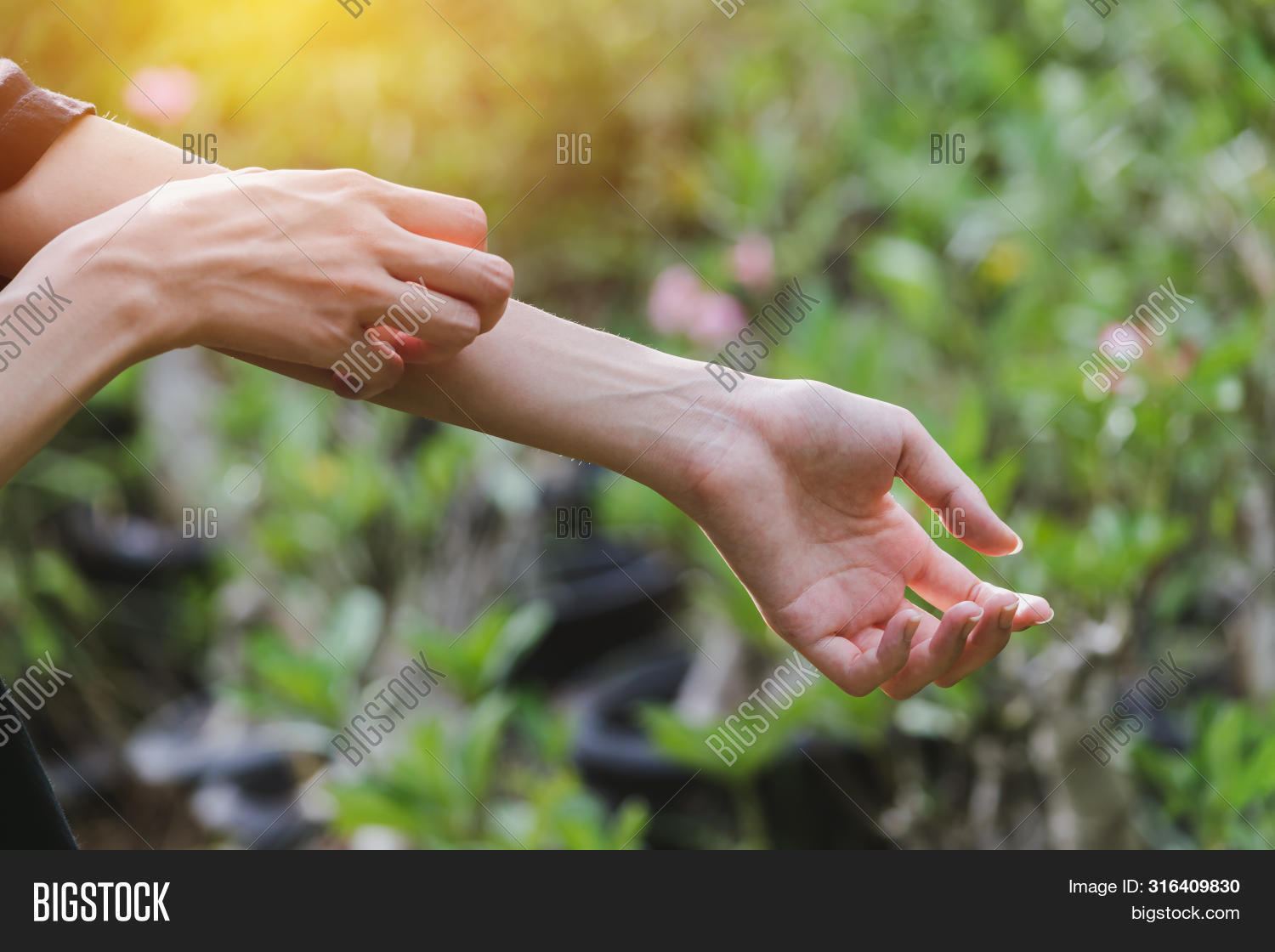 Women Scratching Arms Image & Photo (Free Trial) | Bigstock