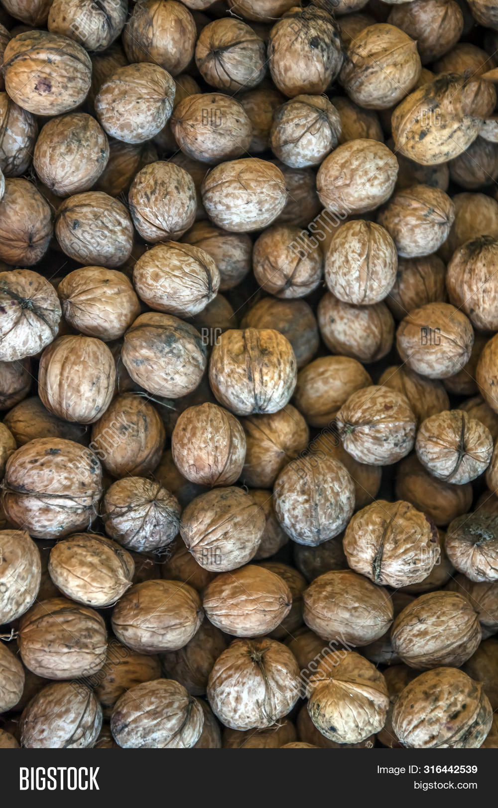 Natural Walnut Image & Photo (Free Trial) | Bigstock