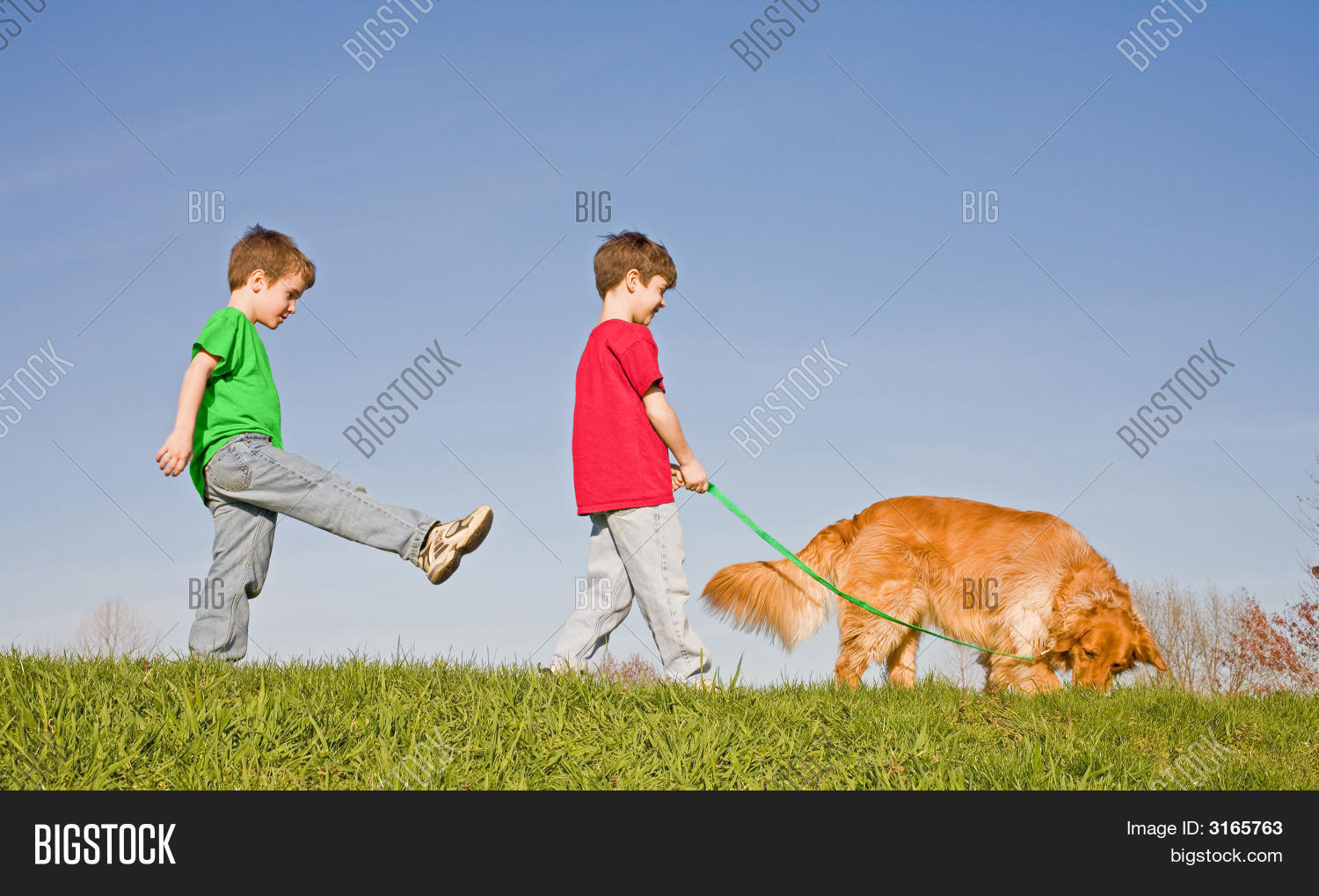 Boys Walking Dog Image & Photo (Free Trial) | Bigstock