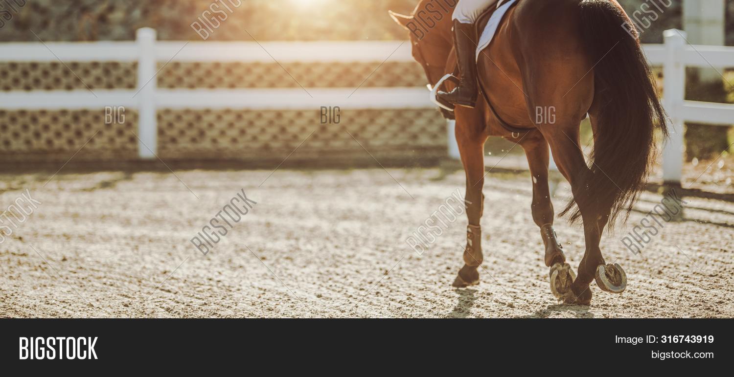 Horse Riding Sunset. Image & Photo (Free Trial) | Bigstock