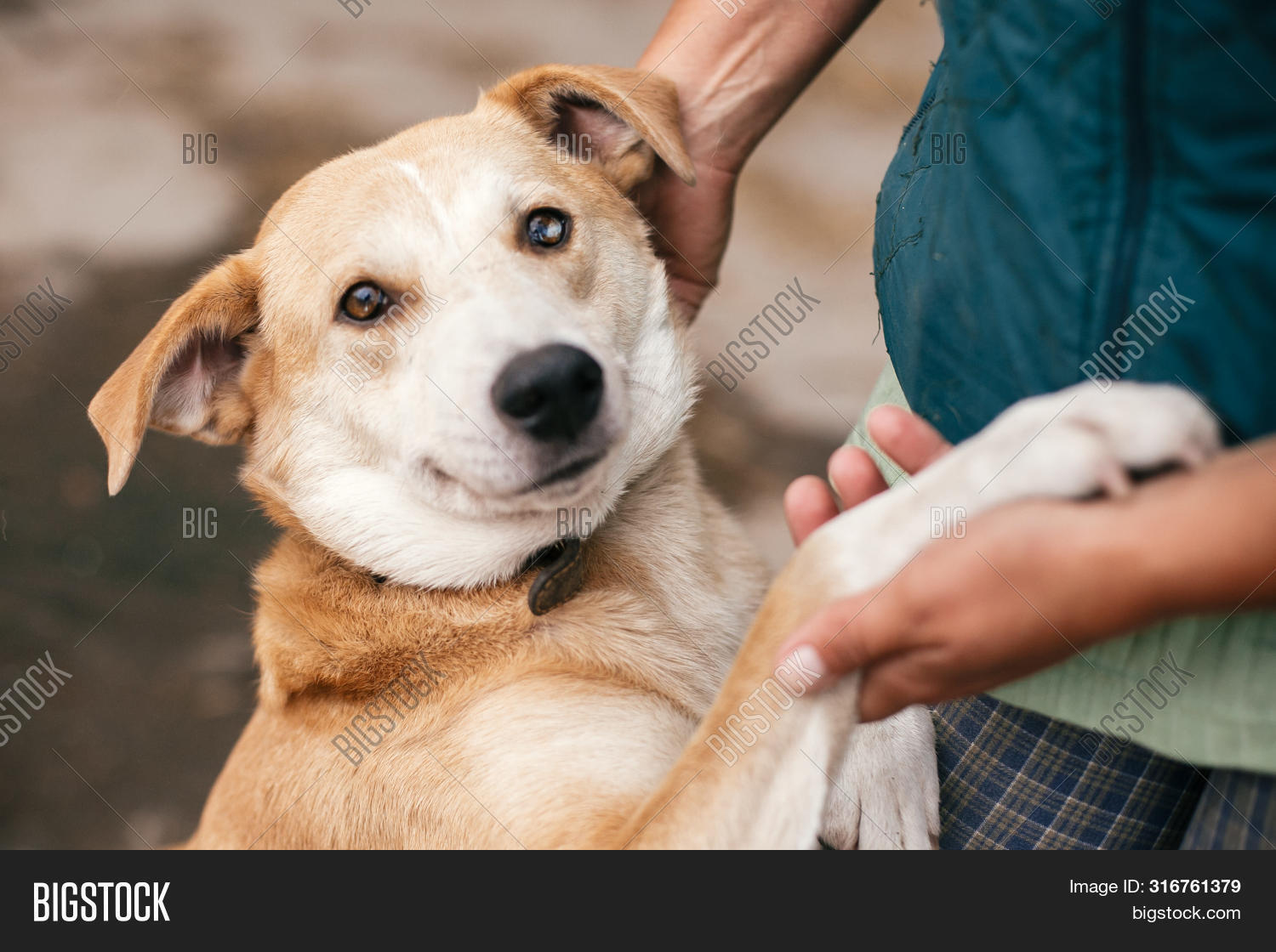 Person Hugging Image & Photo (Free Trial) | Bigstock