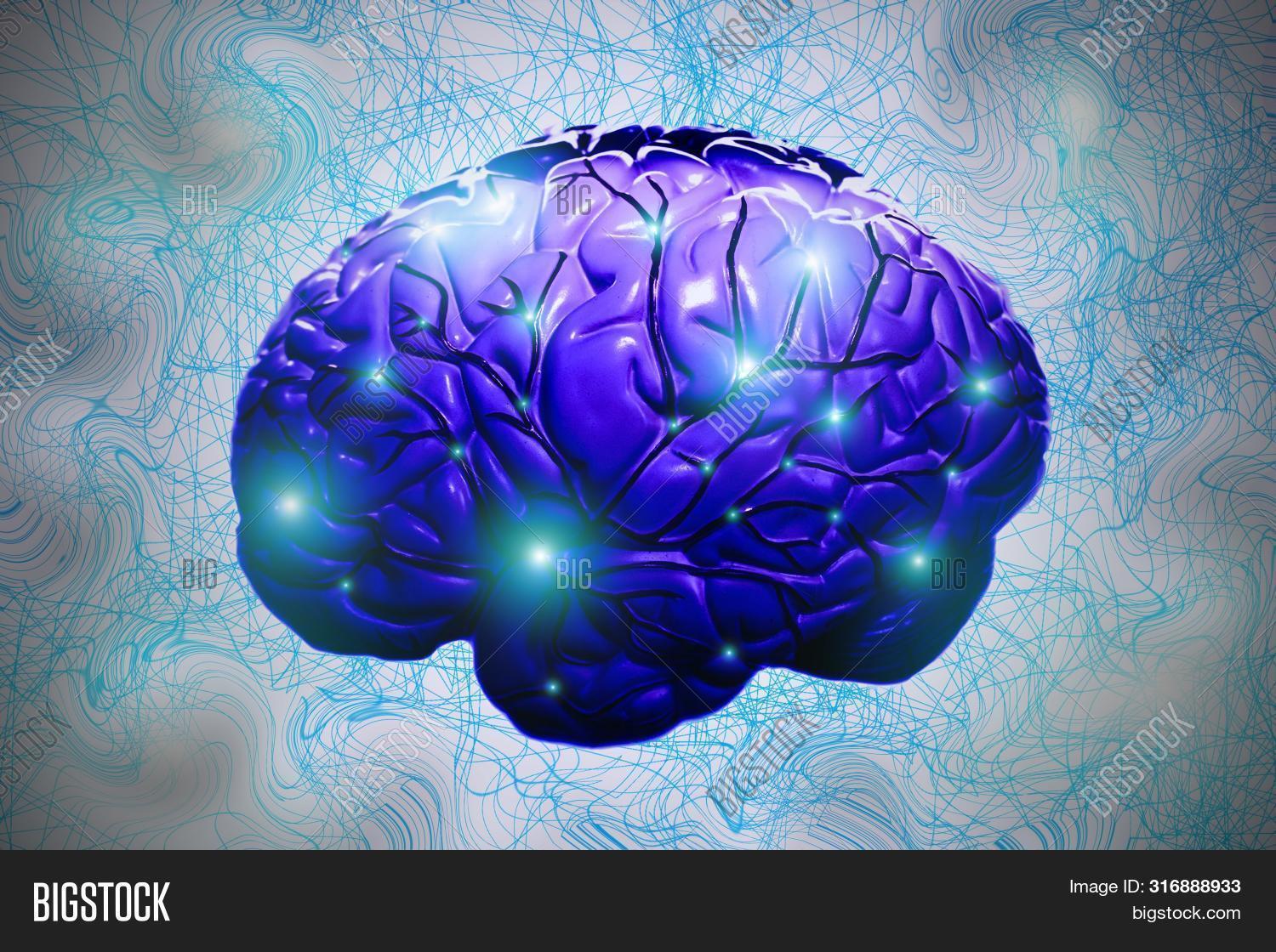 Brain Blue Tones Image & Photo (Free Trial) | Bigstock