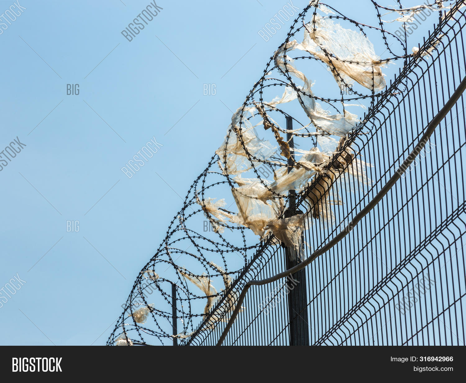 Barbed Wire Fence Image & Photo (Free Trial) | Bigstock