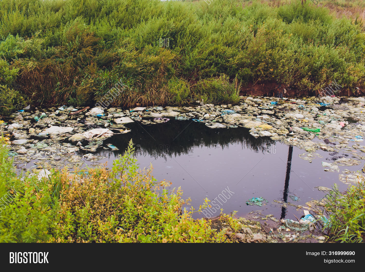 Black Water Pollution Image & Photo (Free Trial) | Bigstock