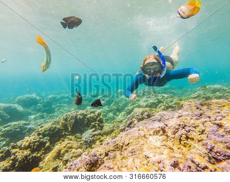 Woman Diving Into Water Images, Illustrations & Vectors (Free) - Bigstock