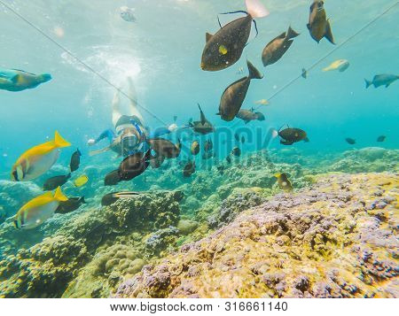 Woman Diving Into Water Images, Illustrations & Vectors (Free) - Bigstock