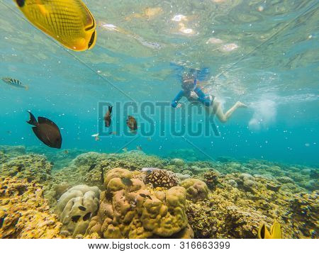Woman Diving Into Water Images, Illustrations & Vectors (Free) - Bigstock