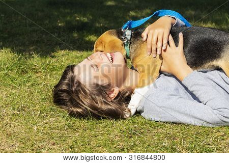 Teen Girl Dog, Dog Image & Photo (Free Trial) | Bigstock
