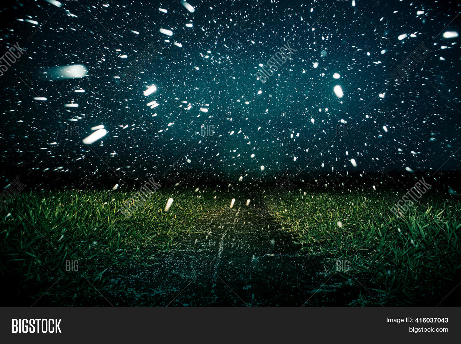 Unusual Sight Snow Image & Photo (Free Trial) | Bigstock