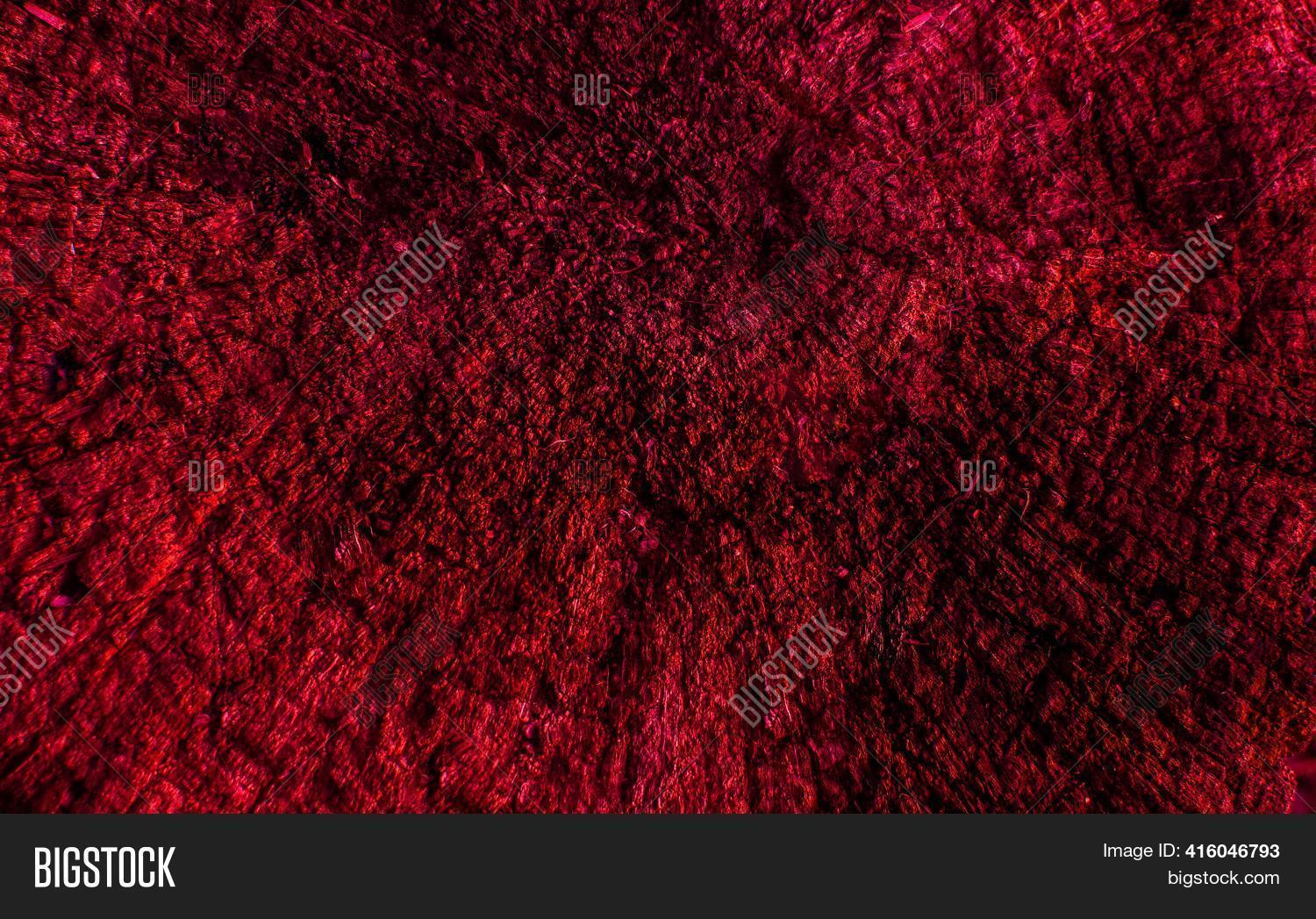 Dark Red Maroon Image & Photo (Free Trial) | Bigstock