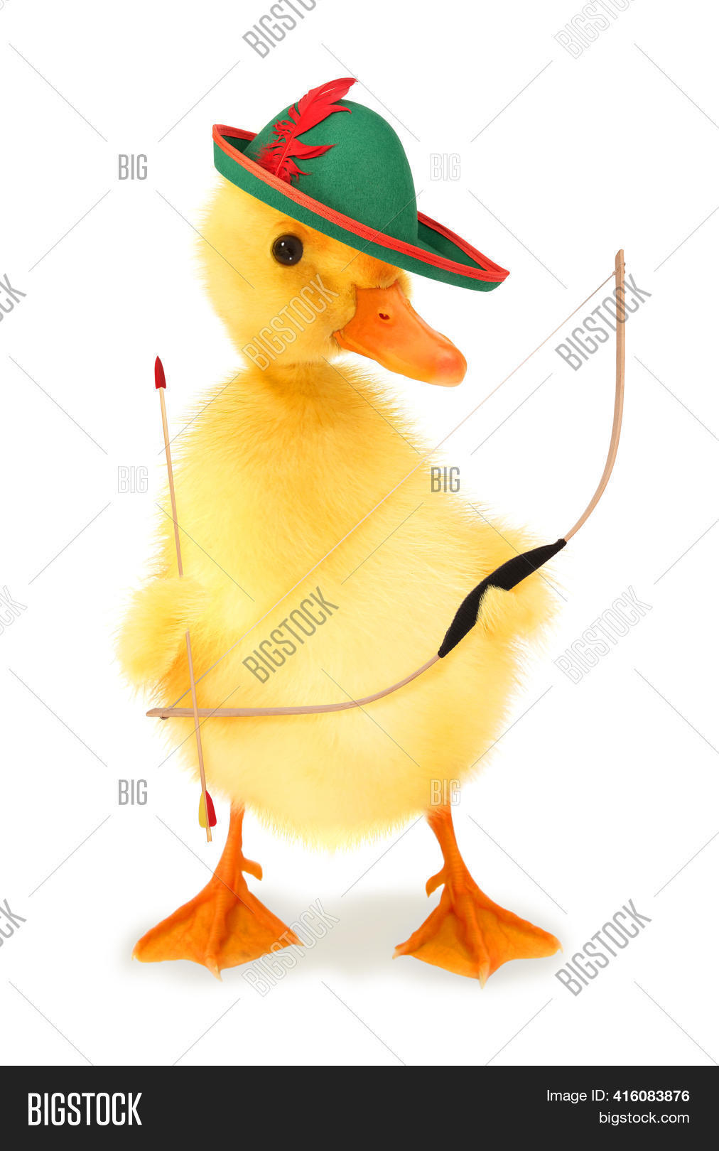 Cute Duckling Robin Image & Photo (Free Trial) | Bigstock
