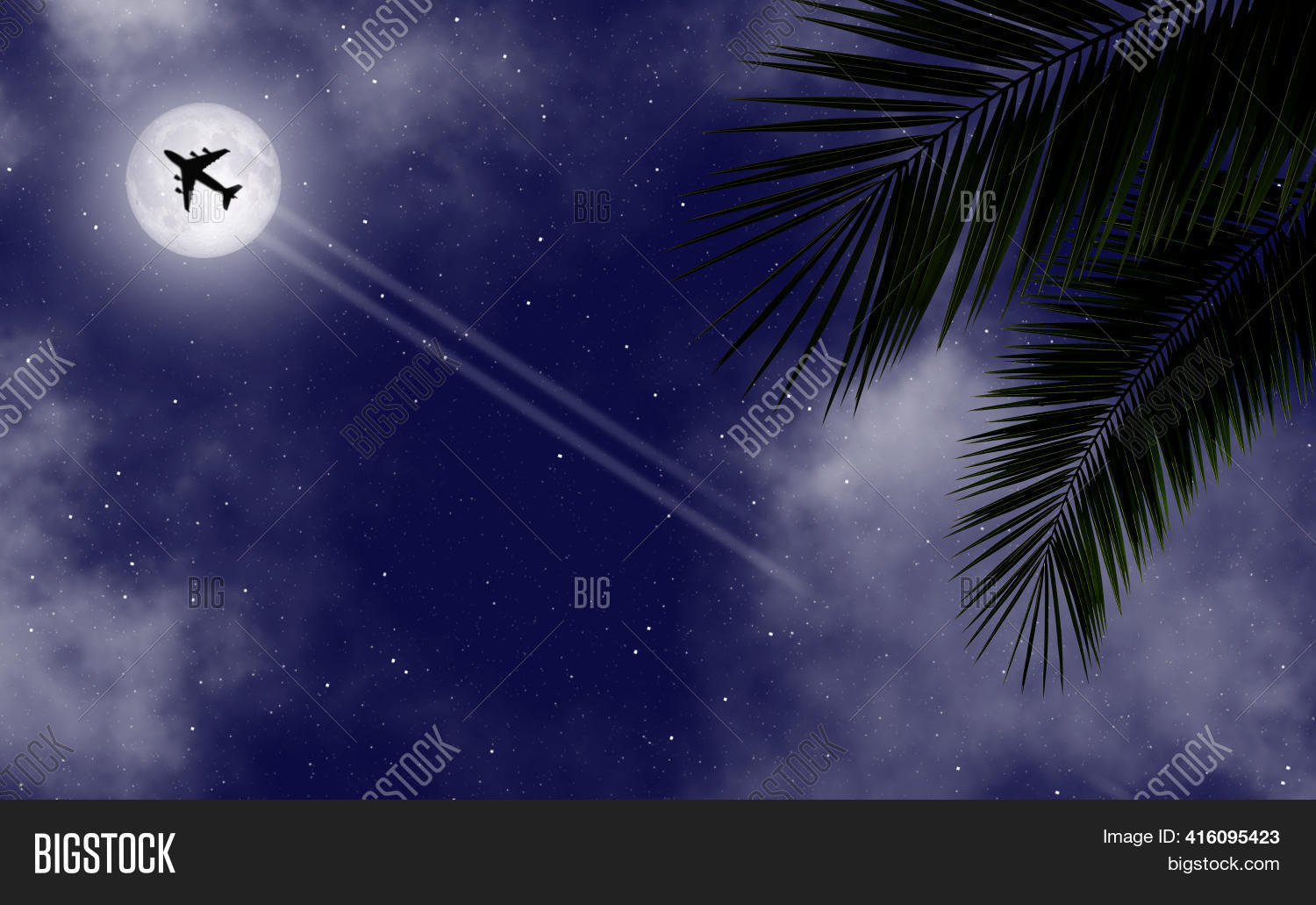 Tropical Night Banner Image & Photo (Free Trial) | Bigstock