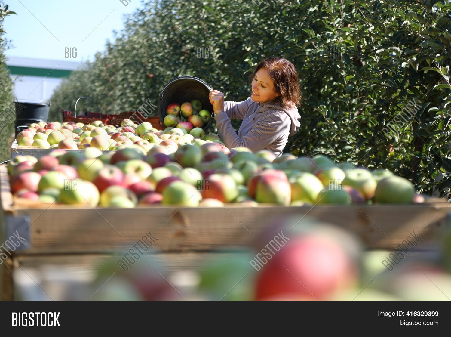 Female Seasonal Worker Image & Photo (Free Trial) | Bigstock