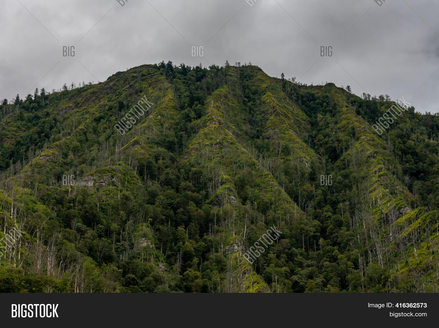 Exposed Ridges Chimney Image & Photo (Free Trial) | Bigstock