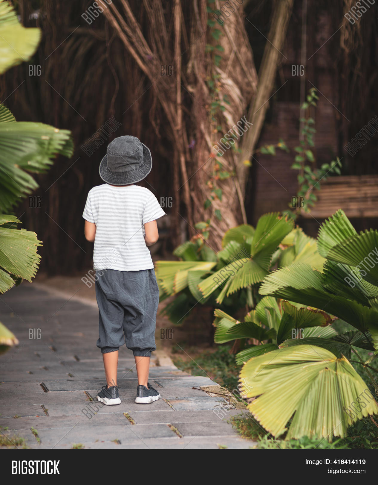 Rear View Boy Walking Image & Photo (Free Trial) | Bigstock