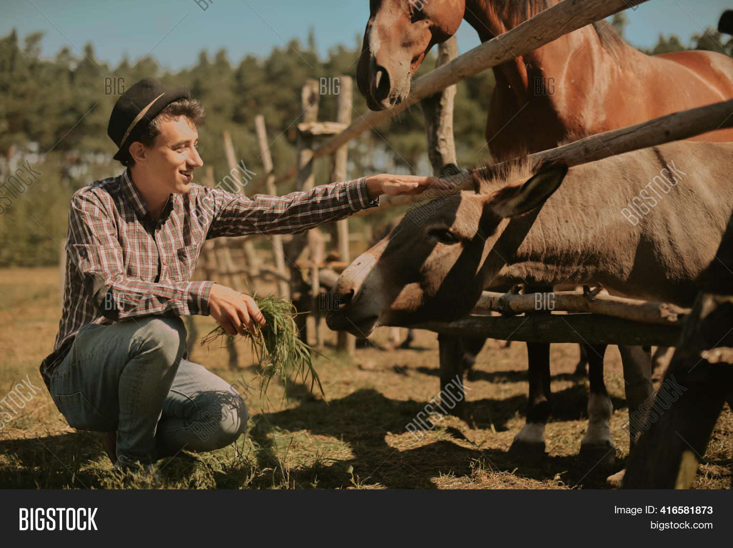 Man Keeps Farm, Feeds Image & Photo (Free Trial) | Bigstock