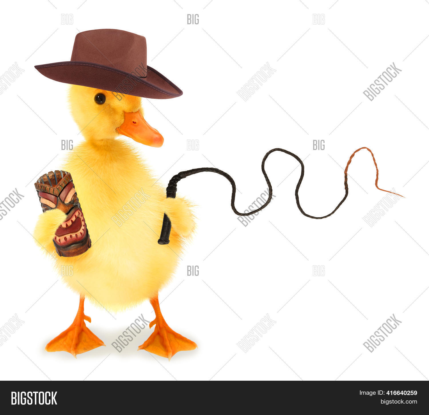 Cute Cool Duckling Image & Photo (Free Trial) | Bigstock